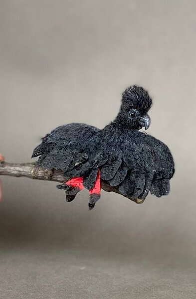 Miniature black Cockatoo by Nataliia Ivanova - Bear Pile