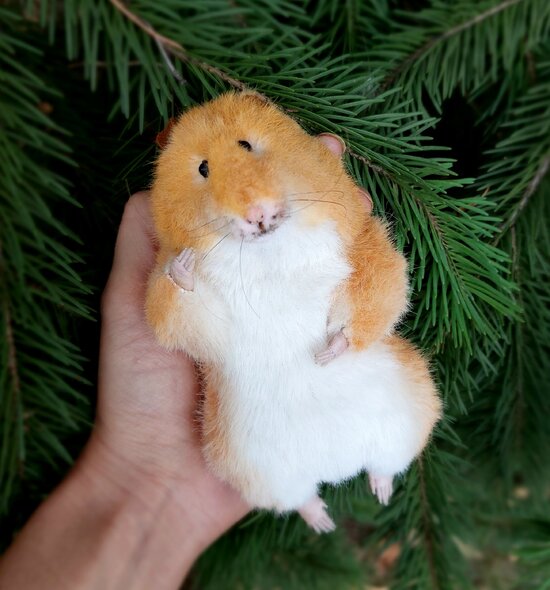 Red hamster by Tchirland - Bear Pile