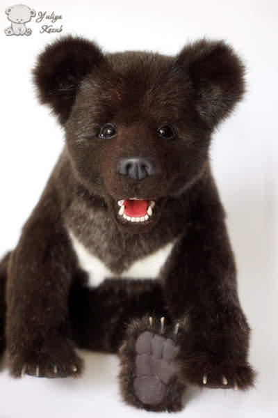 Himalayan bear cub by Yuliya Kozub - Bear Pile