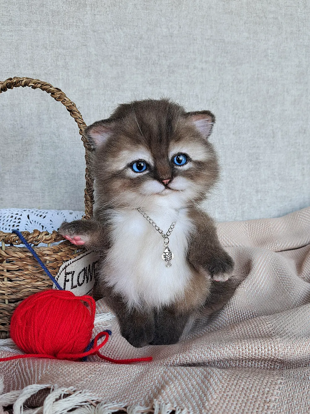 Kitten Chai by Inna Blagova - Bear Pile